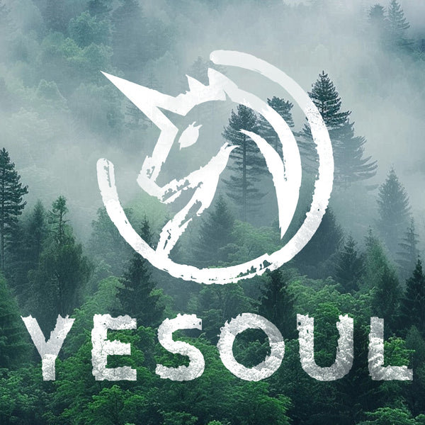 Yesoul Fitness Germany® Heimtrainer | Die beste Alternative zu Peloton